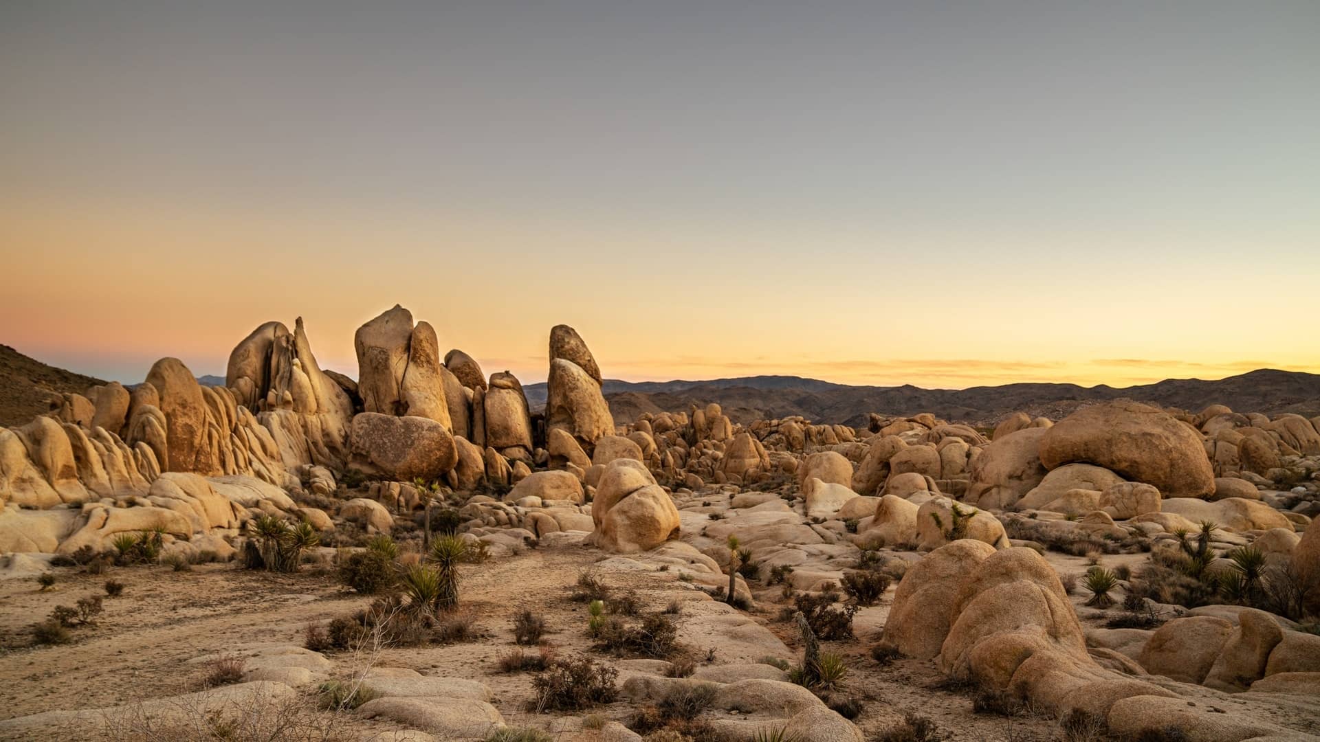 9 Best Hikes in Joshua Tree National Park + FAQs