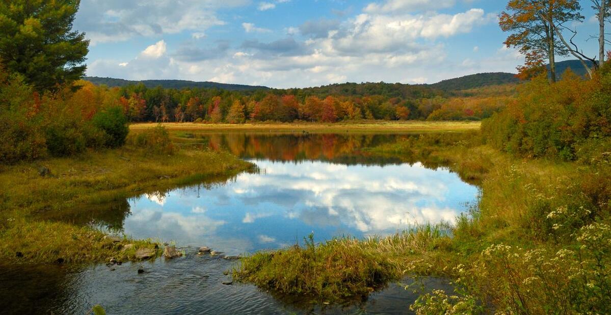 Best Hikes in the Catskills | Trailplace