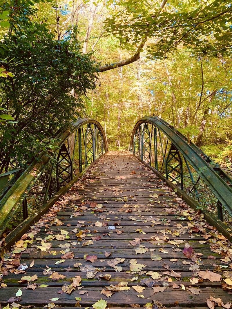 Best Hikes Near Baltimore | Trailplace