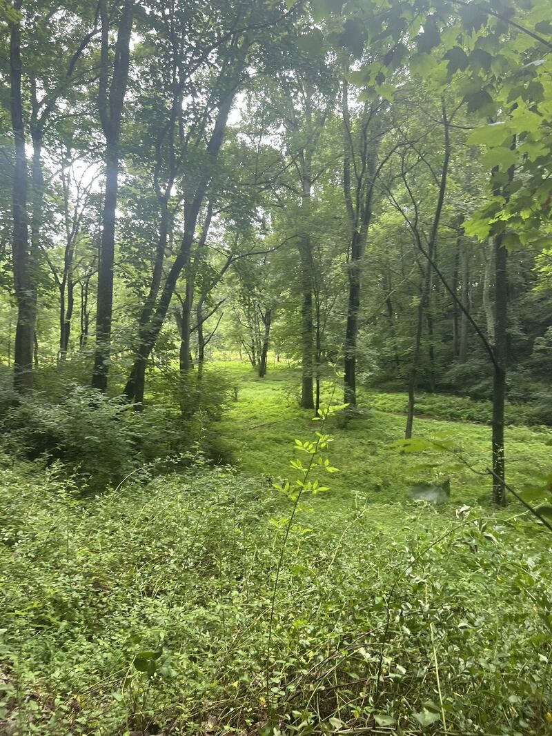 Best Hikes Near Baltimore | Trailplace